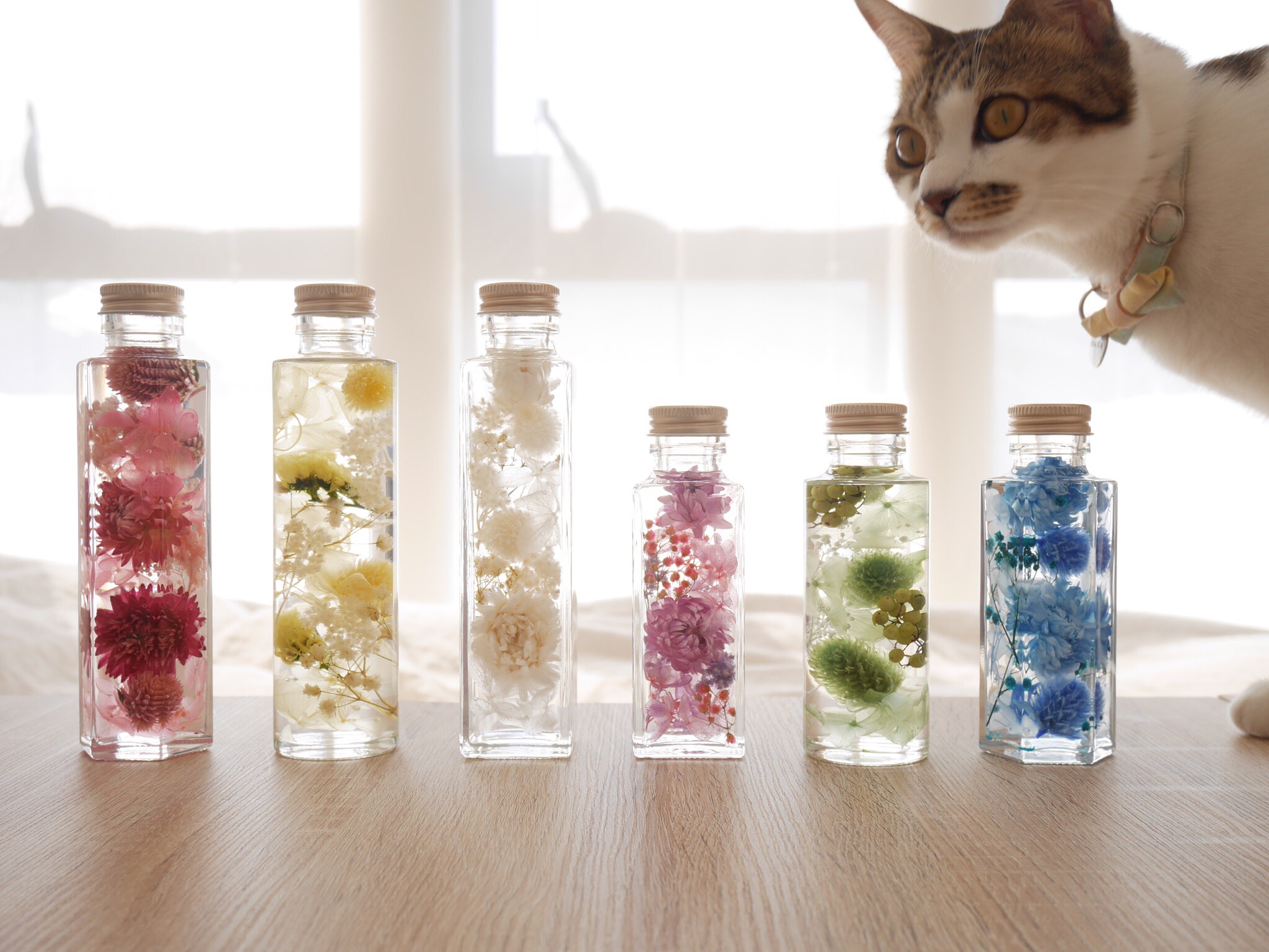 Privacy policy | necoto.hanato.