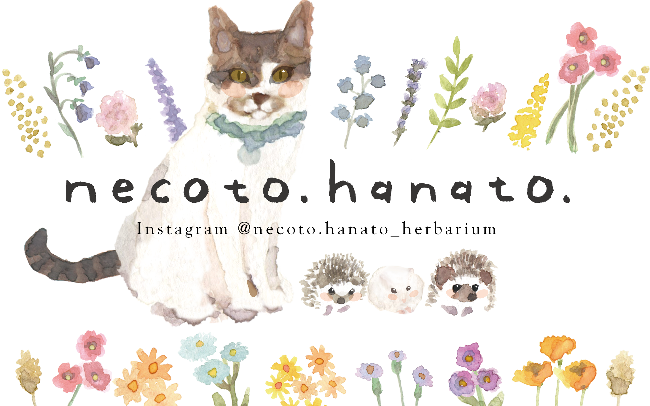 About | necoto.hanato.